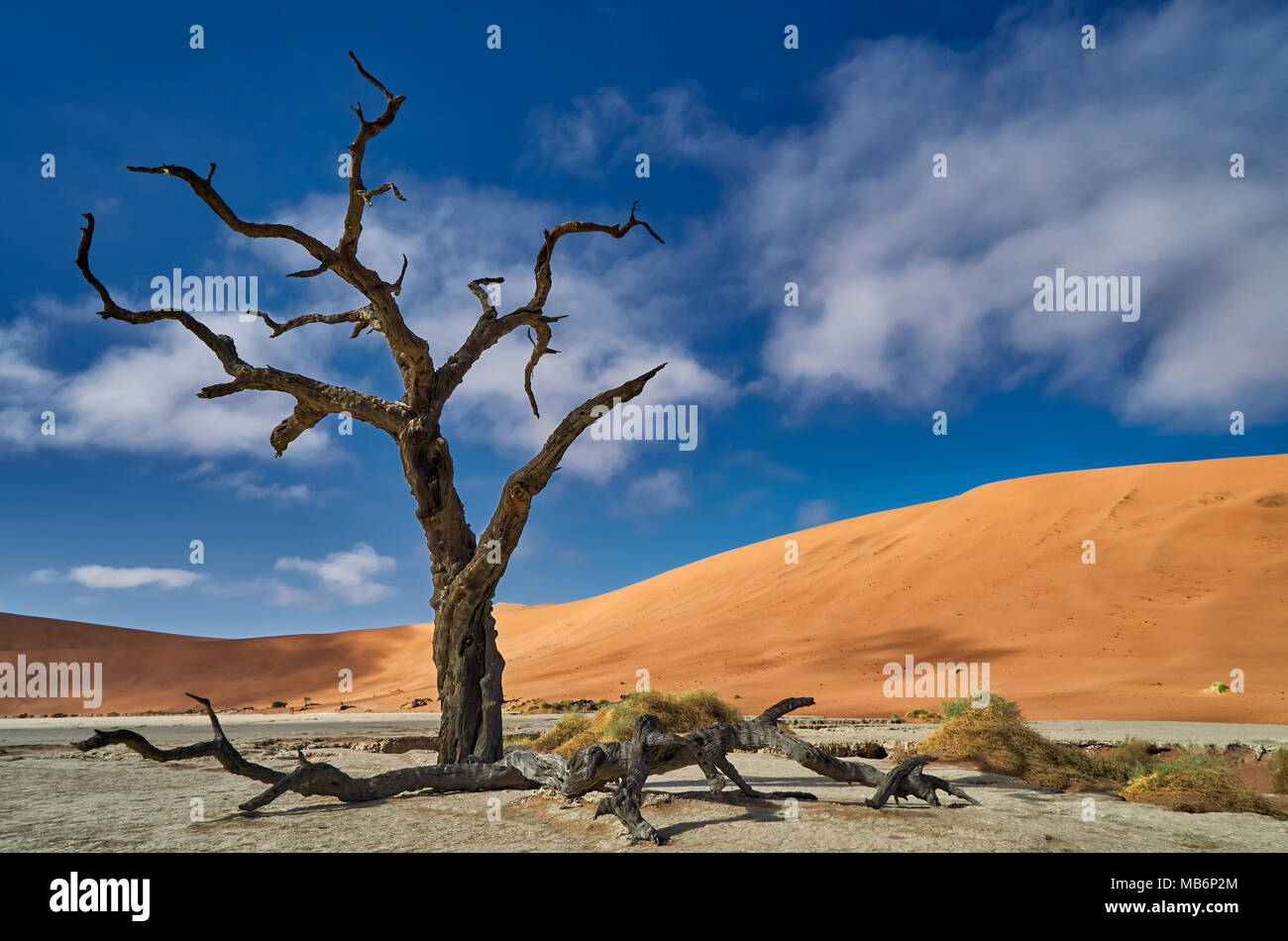 famous Dead Vlei with dead acacia trees, desert landscape of Namib at ...