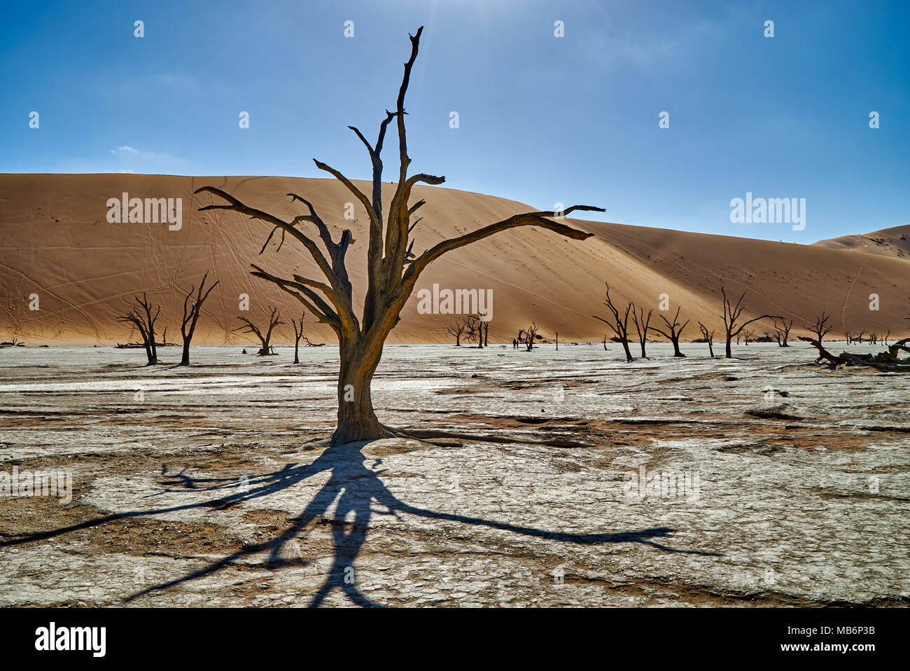 famous Dead Vlei with dead acacia trees, desert landscape of Namib at ...