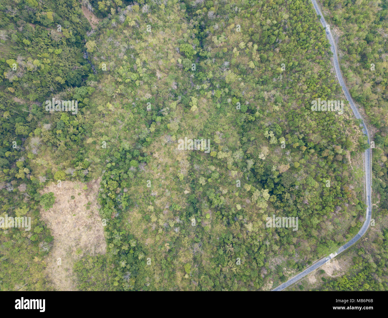 Aerial view from drone. Royalty high quality free stock image of road ...