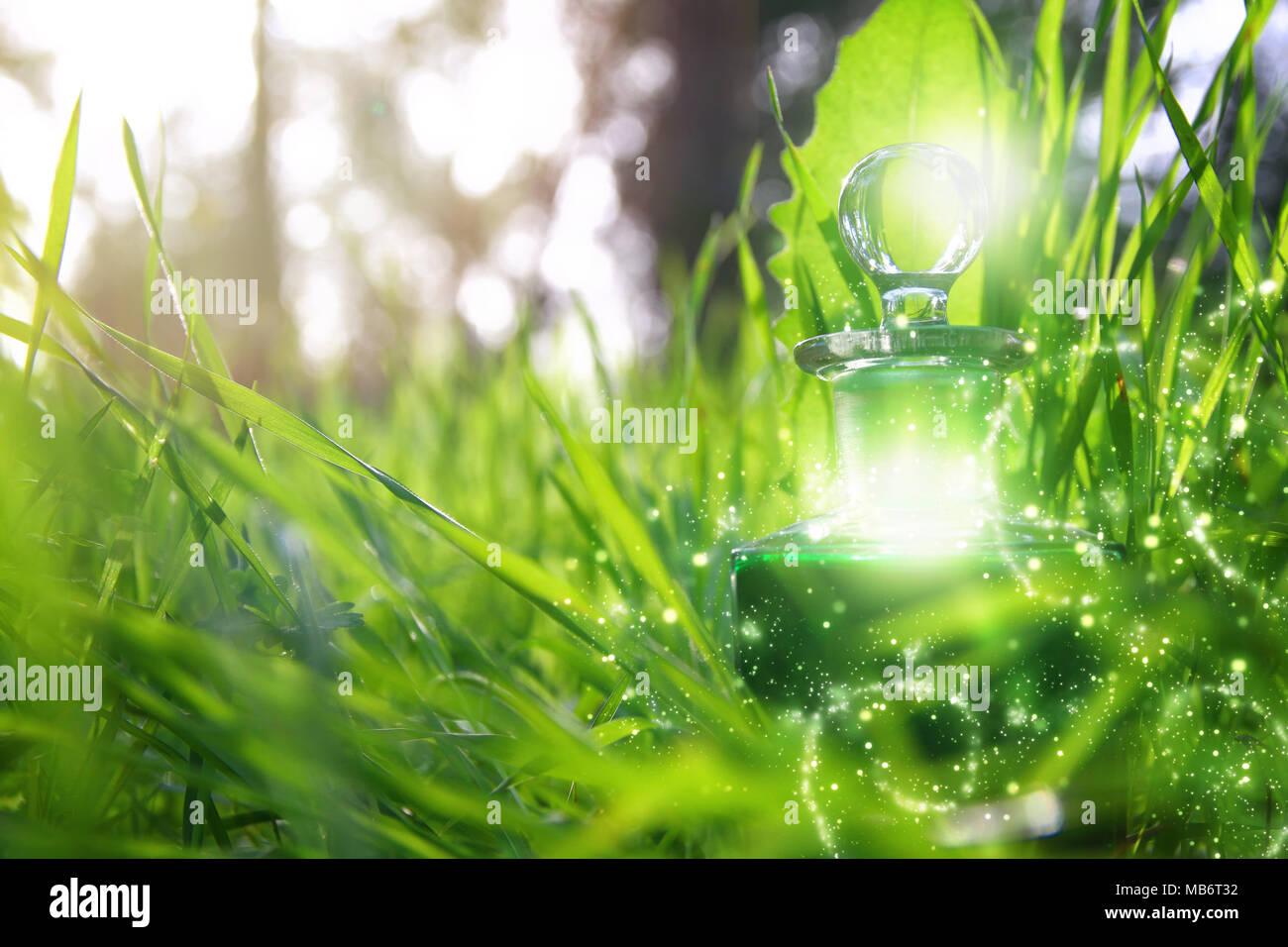 Magical fairy dust potion in bottle in the forest Stock Photo - Alamy