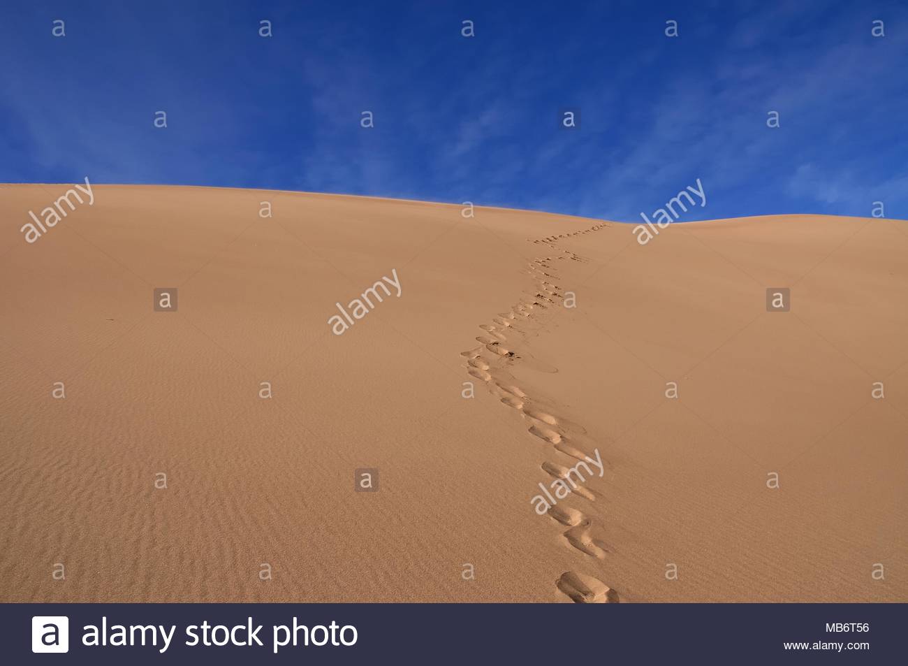 Footprints In The Desert High Resolution Stock Photography and Images ...