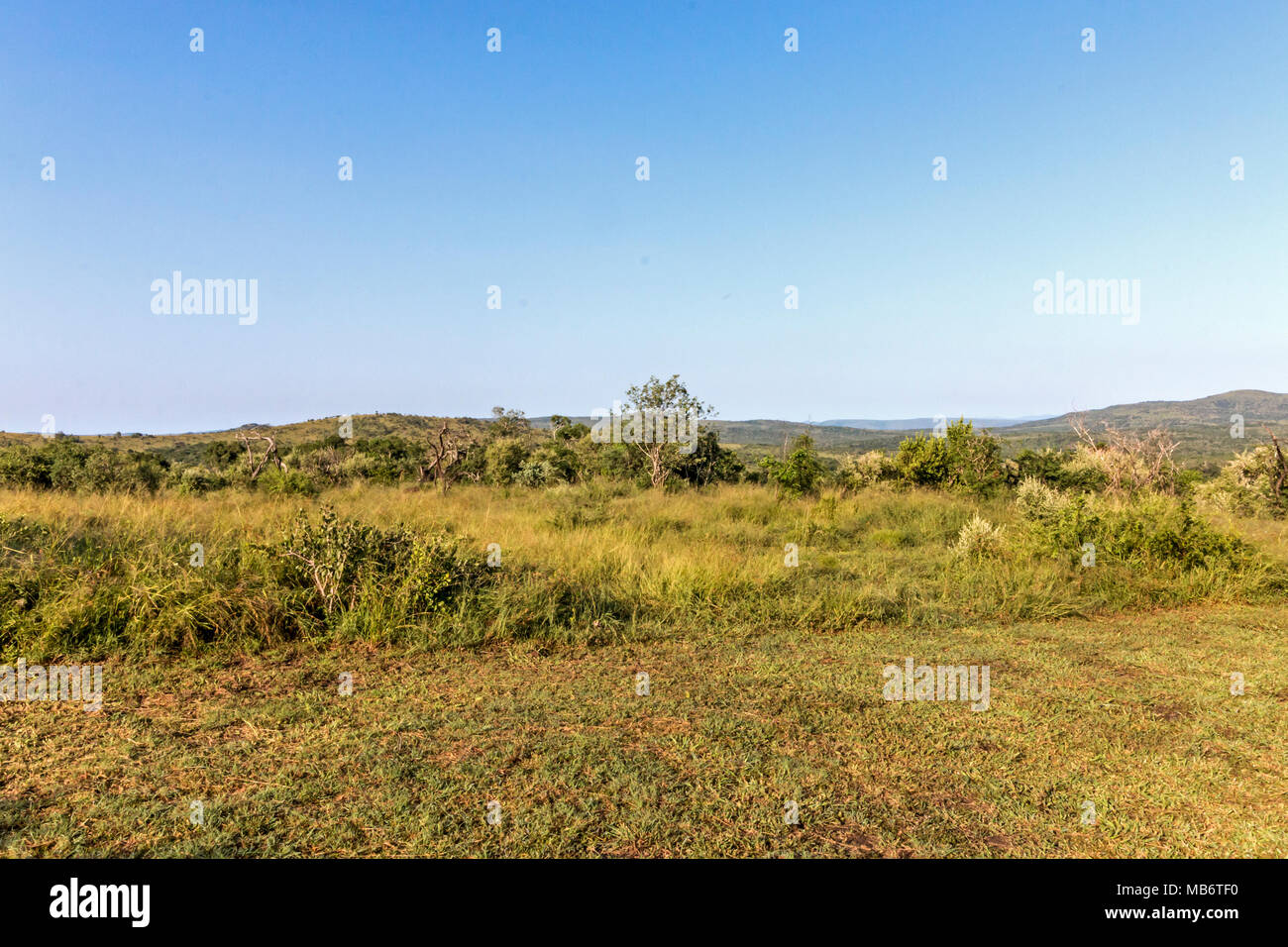 Zululand landscape hi-res stock photography and images - Alamy