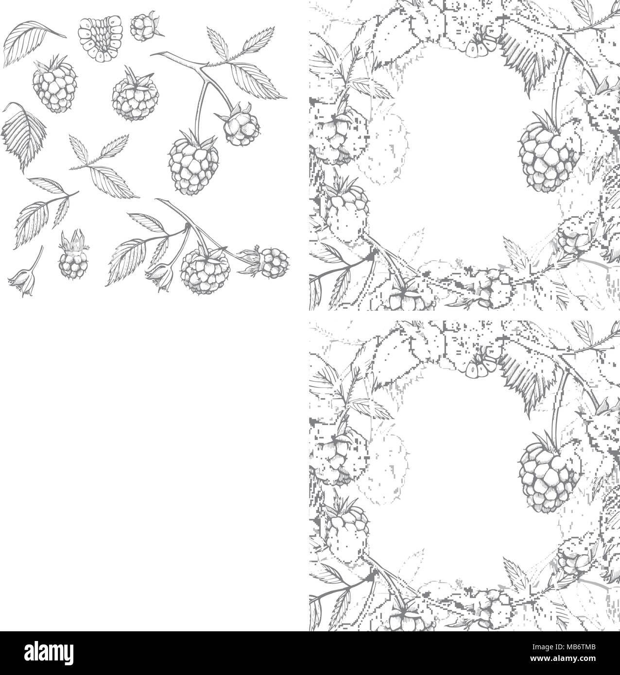 Hand drawn raspberry set isolated on white background. Retro sketch ...