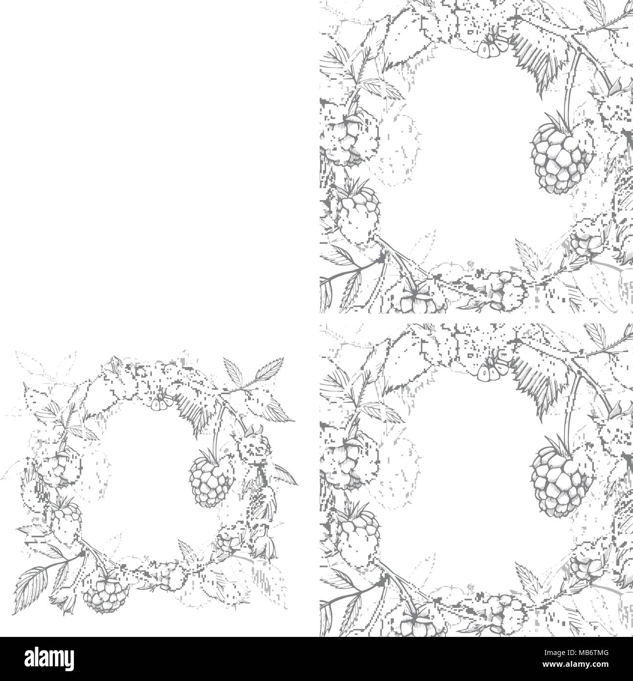 Hand drawn raspberry. Retro sketch style vector illustration. Perfect ...