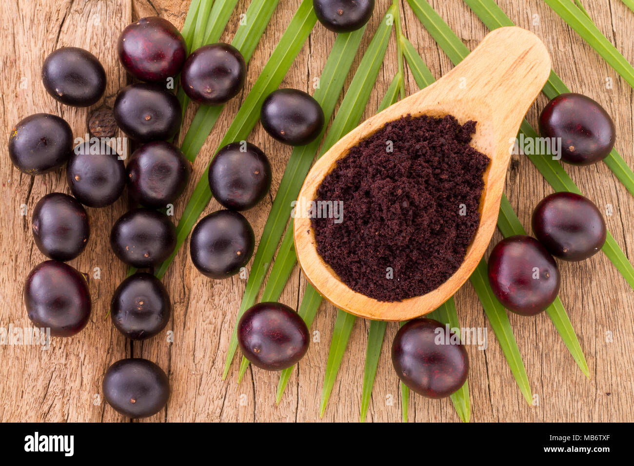 Acai Palm Tree Stock Photos & Acai Palm Tree Stock Images - Alamy