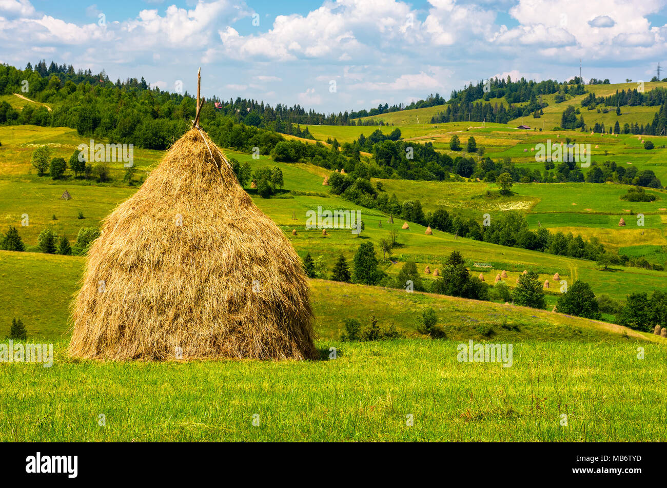 Summer countryside outside outdoor hi-res stock photography and images ...
