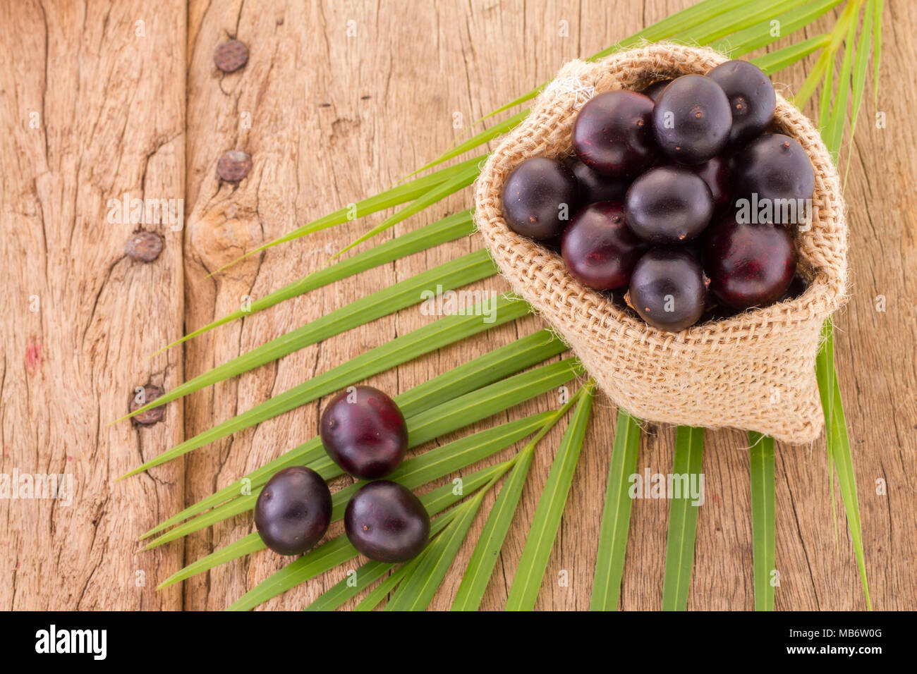 Acai fruit, fruit of Amazonian origin are attributed many medicinal ...