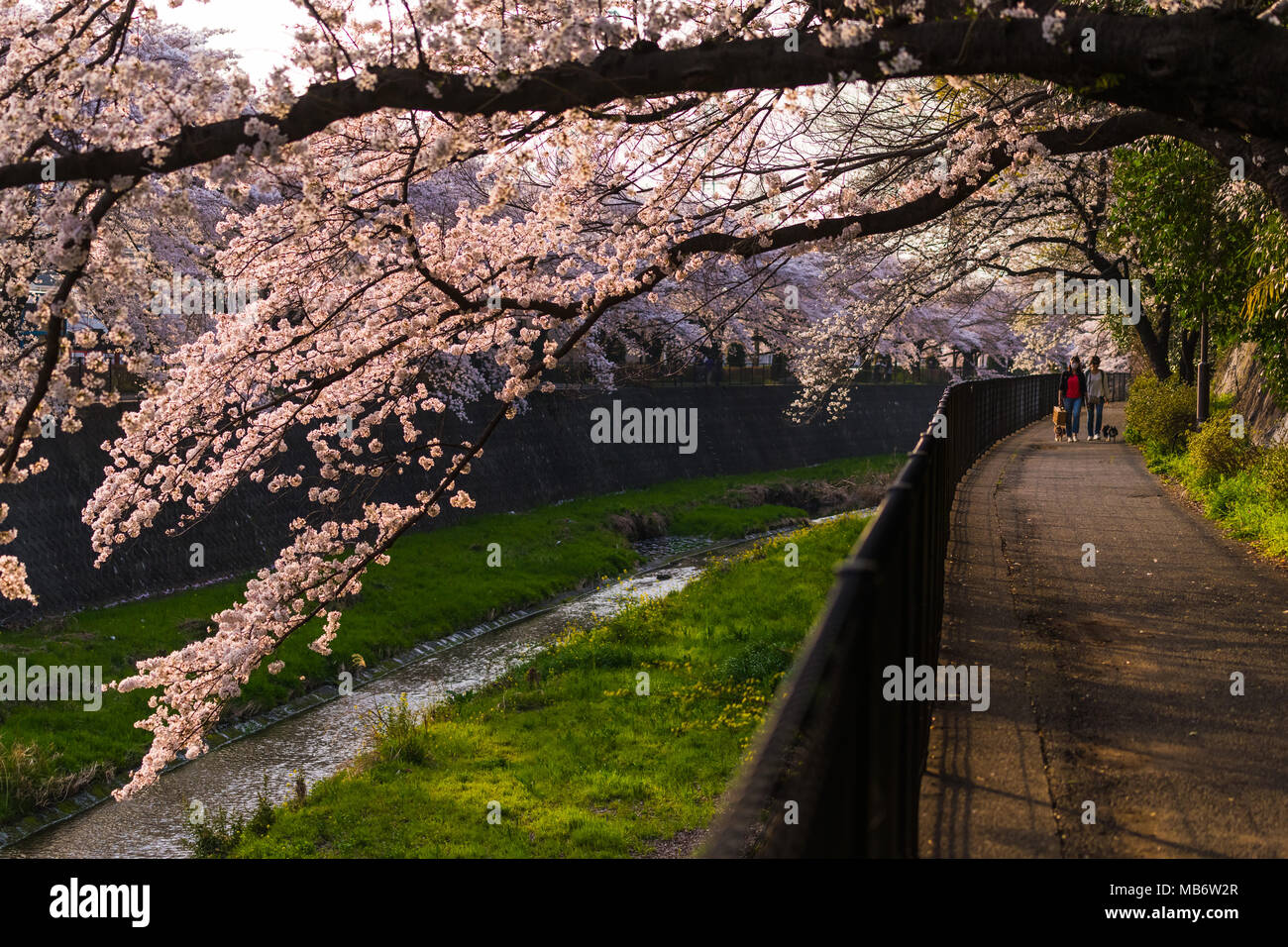 Tachikawa tokyo hi-res stock photography and images - Alamy