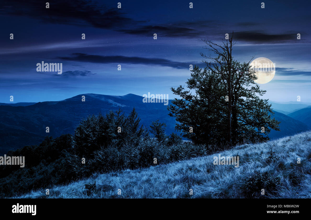 Hillside At Night