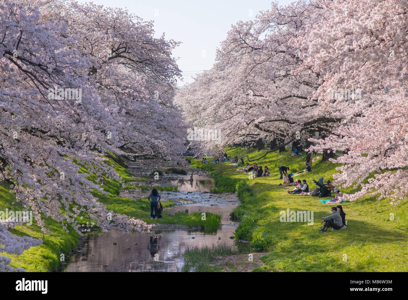 Tachikawa hi-res stock photography and images - Alamy