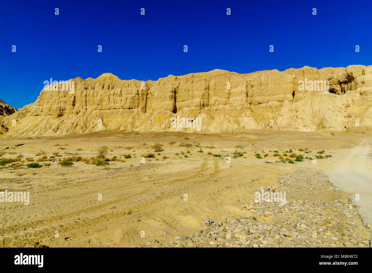 Landscape and Marlstone rock formation, near Neot HaKikar, northern ...