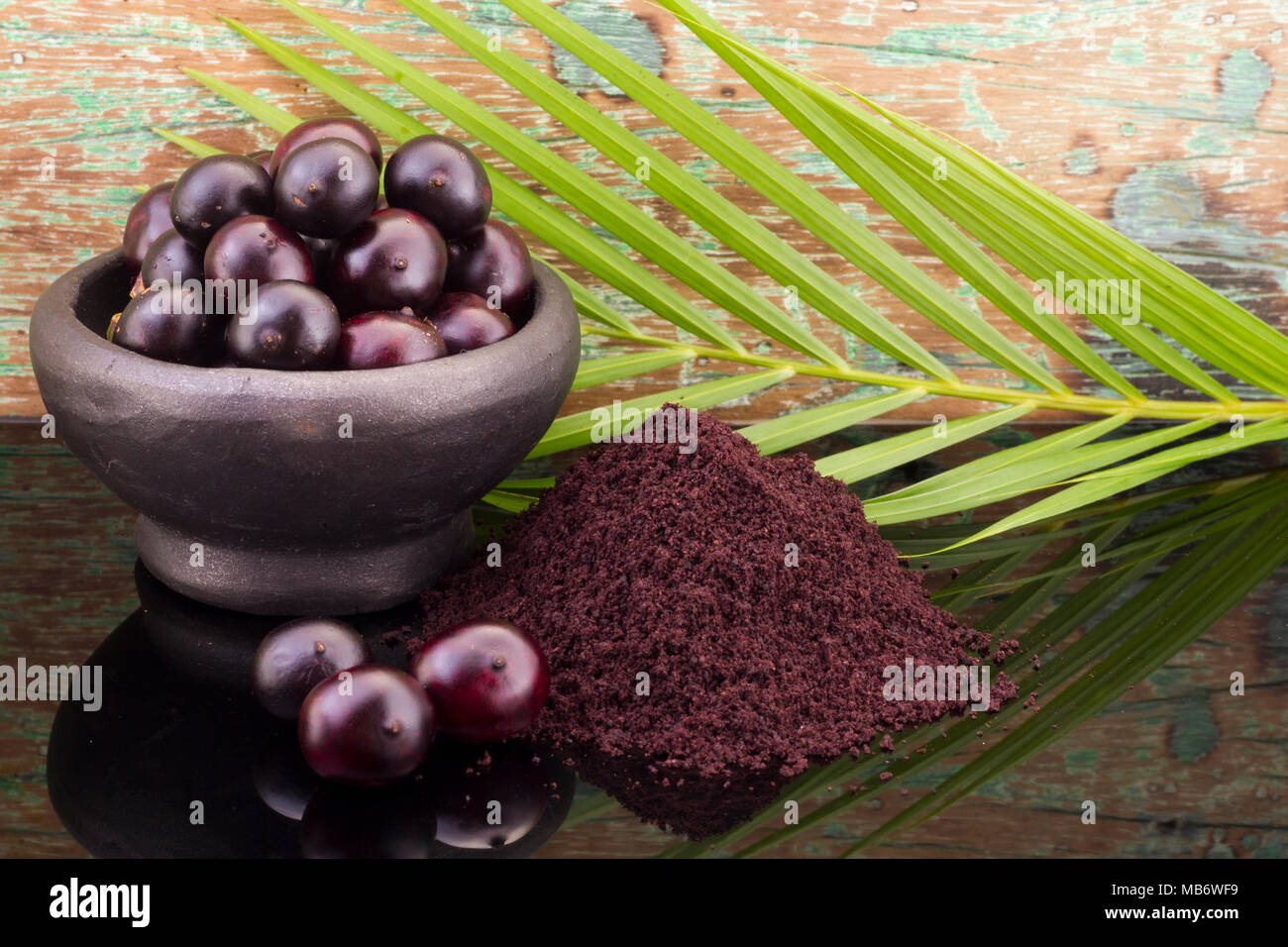 Acai Berry Tree High Resolution Stock Photography and Images - Alamy