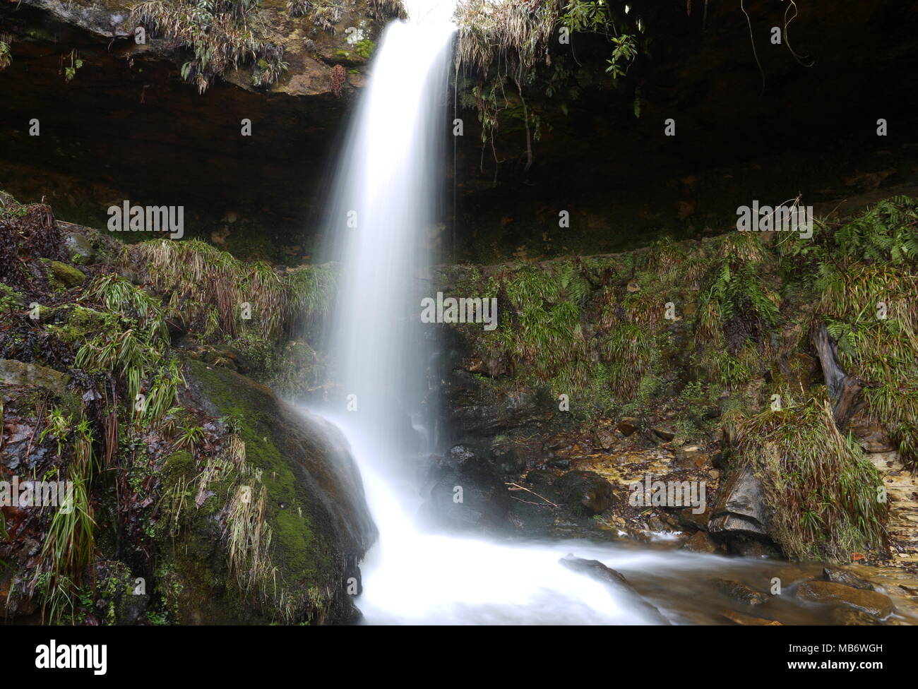Yad Waterfall Maspie Den Falkland Fife Scotland April 2018 Stock Photo ...