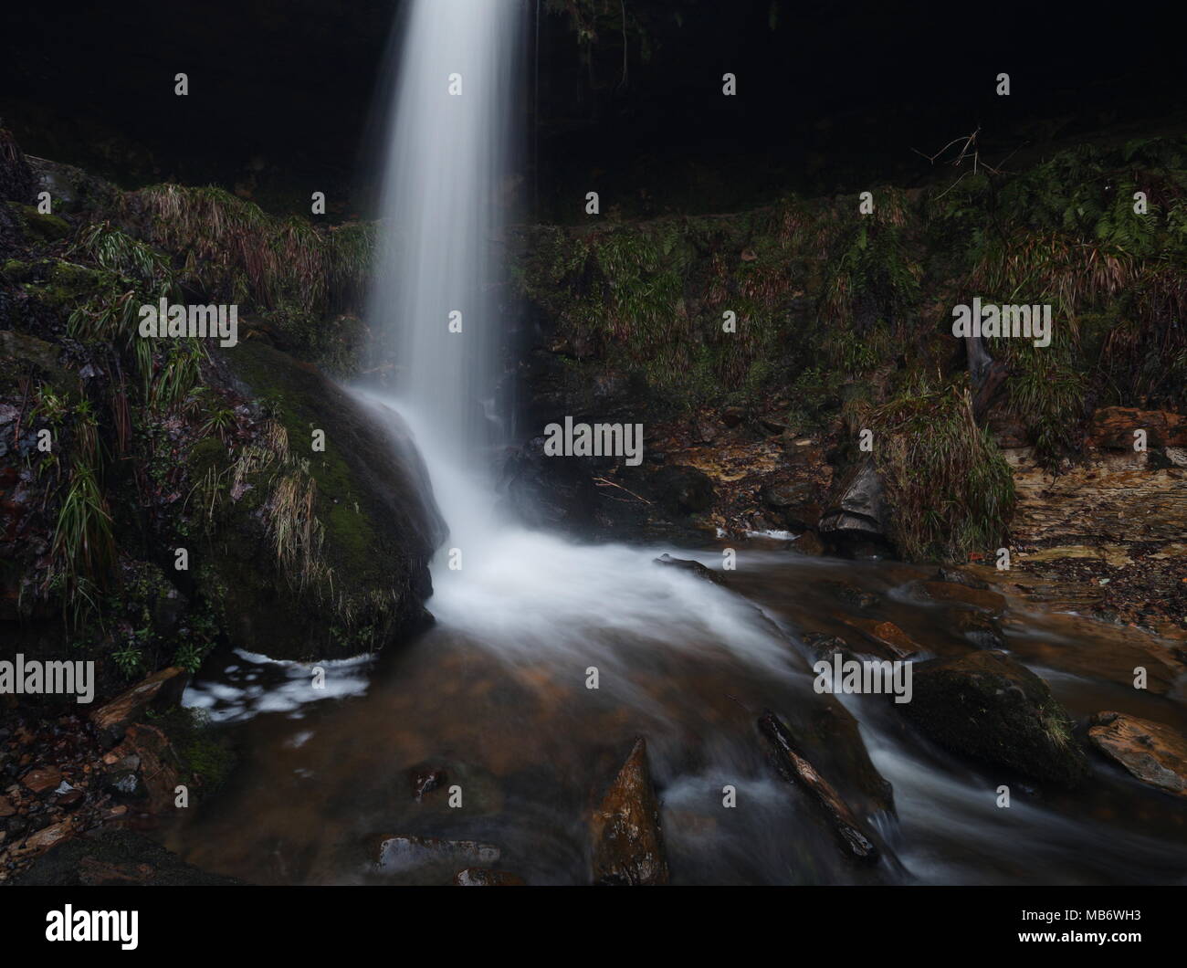 Scotland maspie den hi-res stock photography and images - Alamy