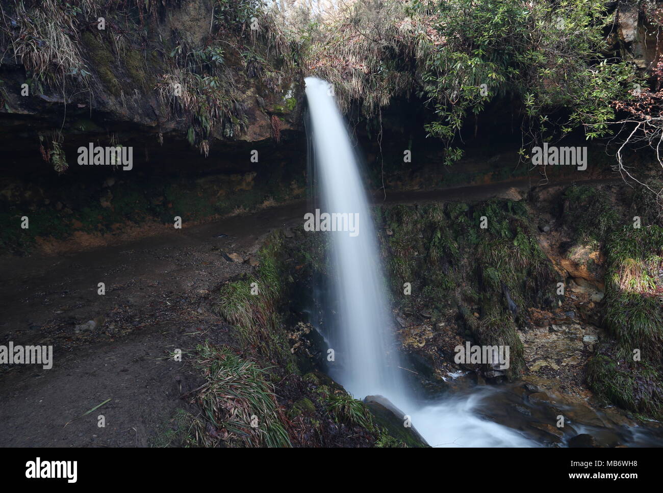 Yad Waterfall Maspie Den Falkland Fife Scotland April 2018 Stock Photo ...