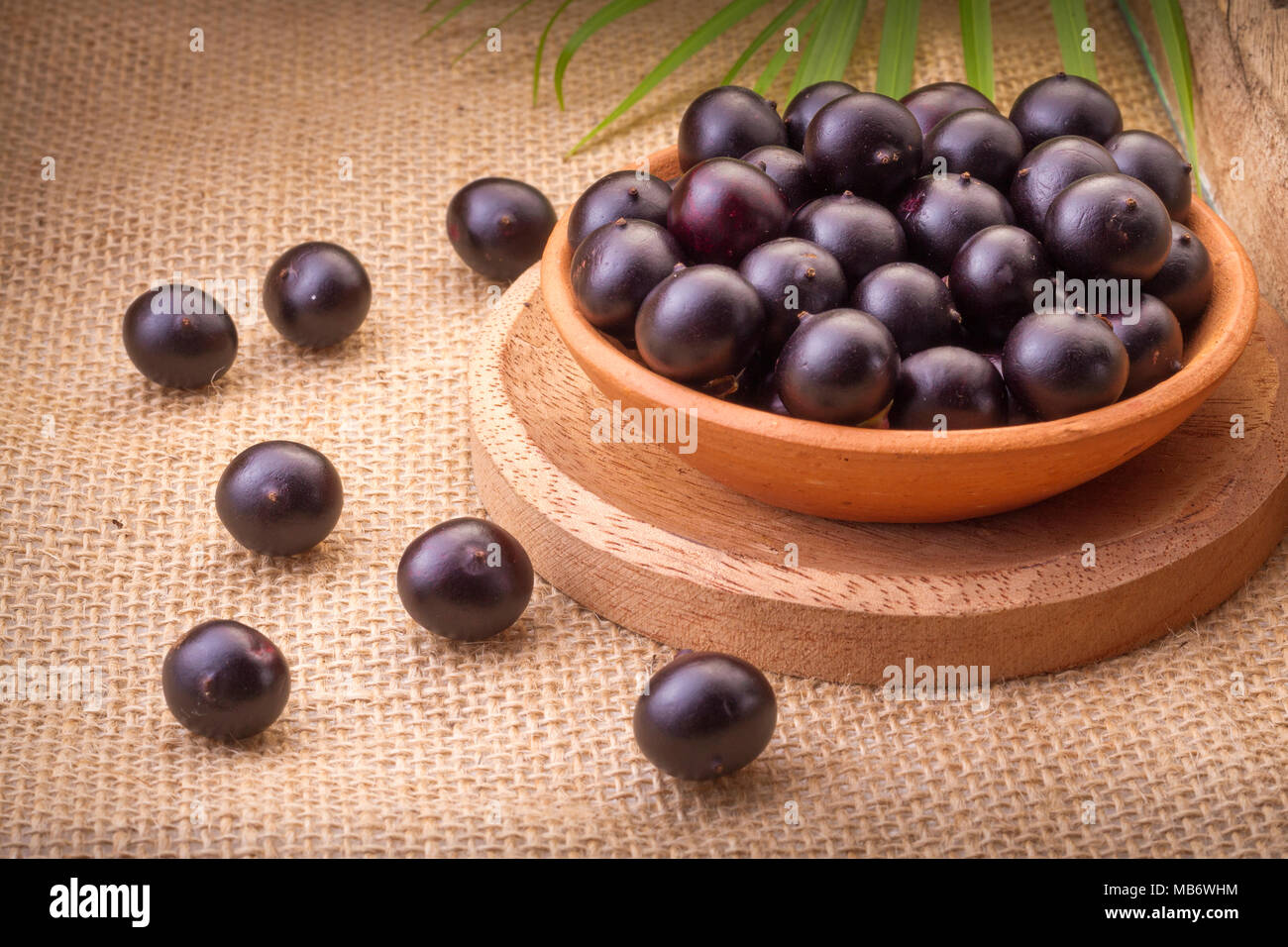 Acai fruit, fruit of Amazonian origin are attributed many medicinal ...
