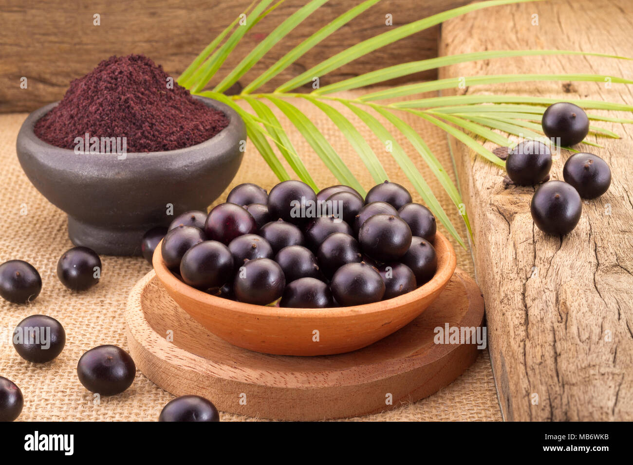 Acai fruit, fruit of Amazonian origin are attributed many medicinal ...