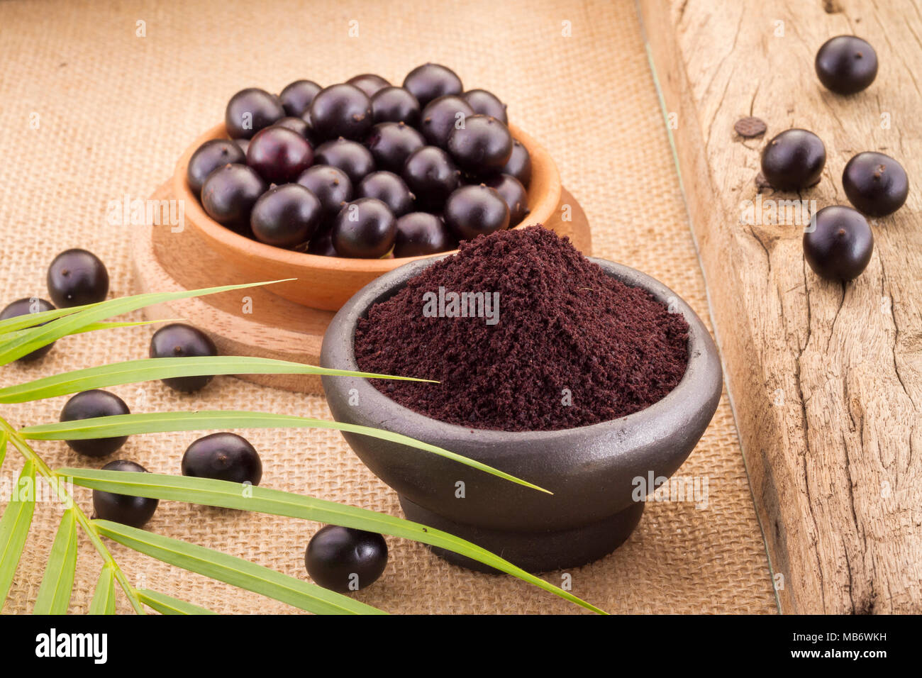 Acai fruit, fruit of Amazonian origin are attributed many medicinal ...