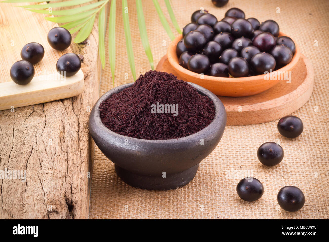 Acai fruit, fruit of Amazonian origin are attributed many medicinal ...