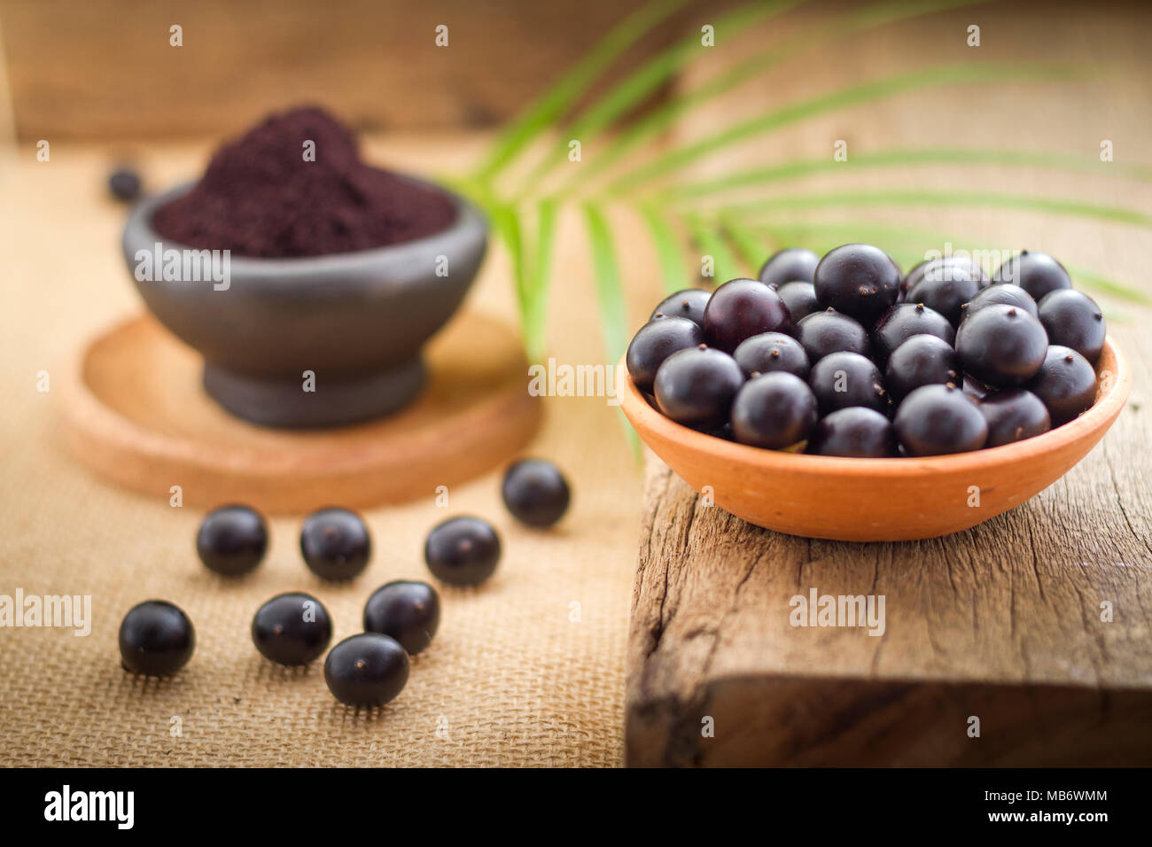Acai fruit, fruit of Amazonian origin are attributed many medicinal ...