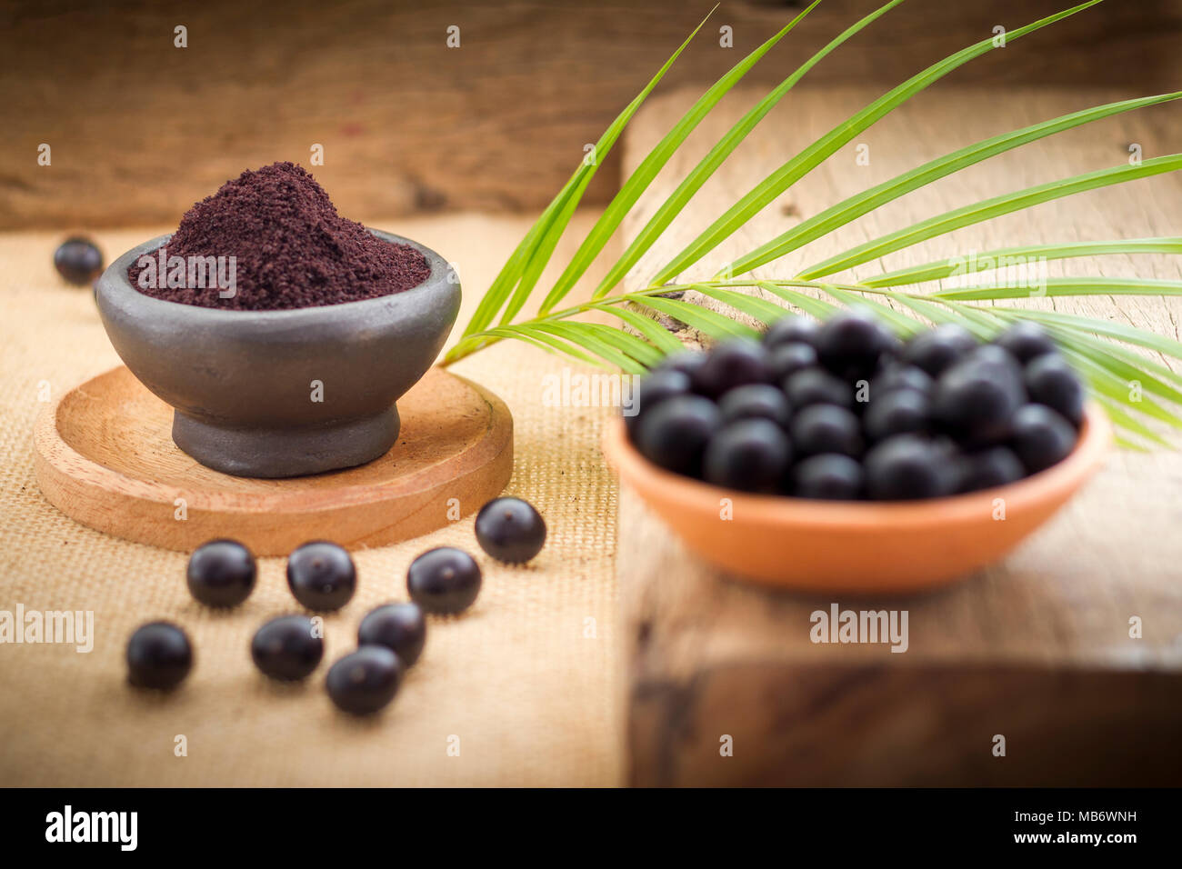 Acai fruit, fruit of Amazonian origin are attributed many medicinal ...