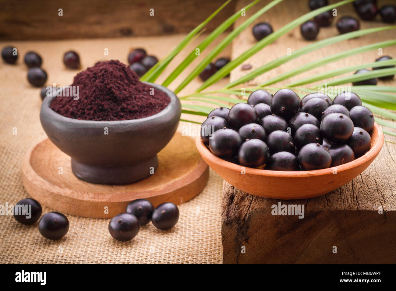Acai fruit, fruit of Amazonian origin are attributed many medicinal ...