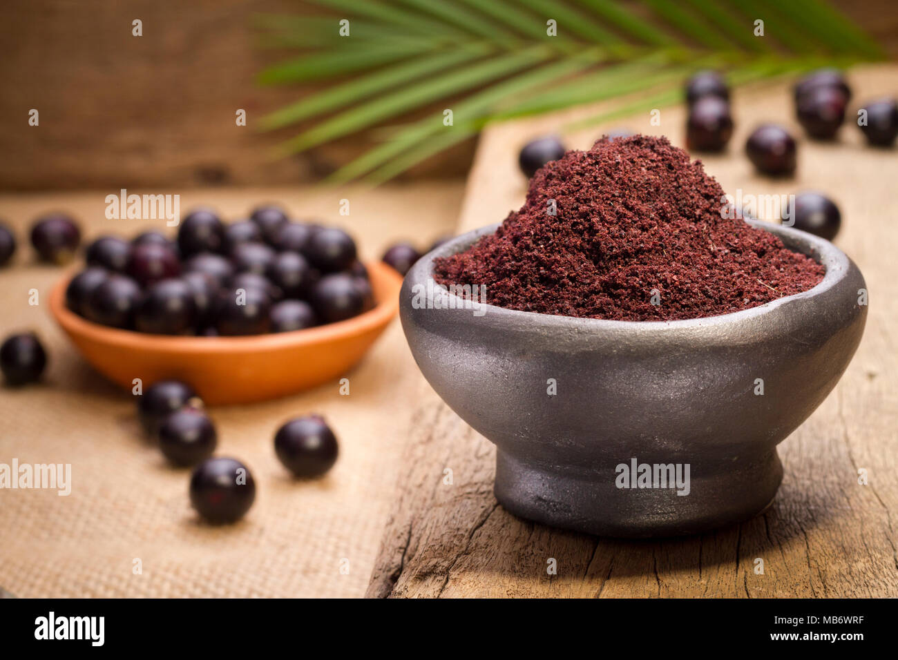 Acai fruit, fruit of Amazonian origin are attributed many medicinal ...