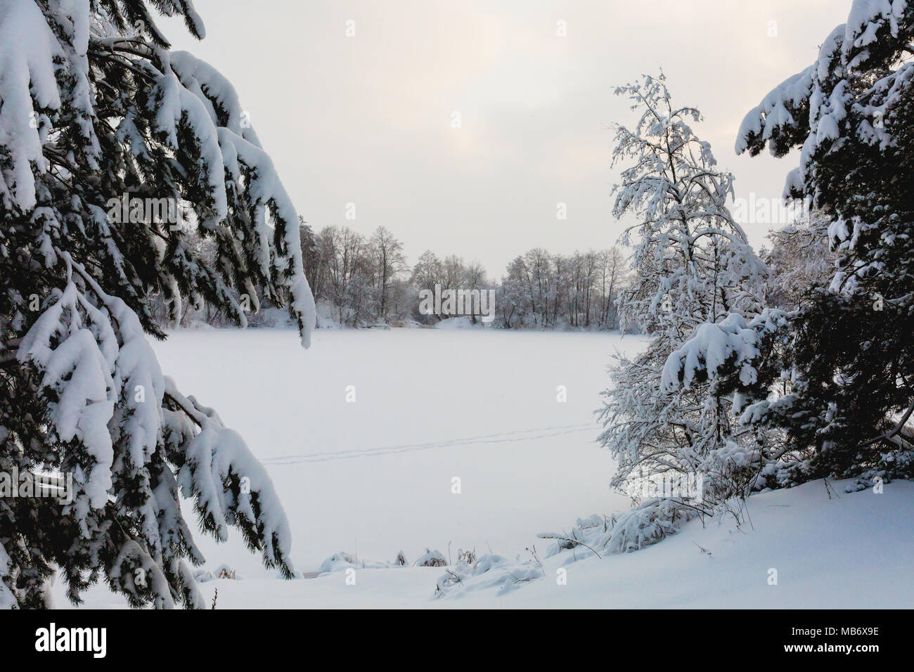 Beautiful winter landscape with snow covered lake Stock Photo - Alamy