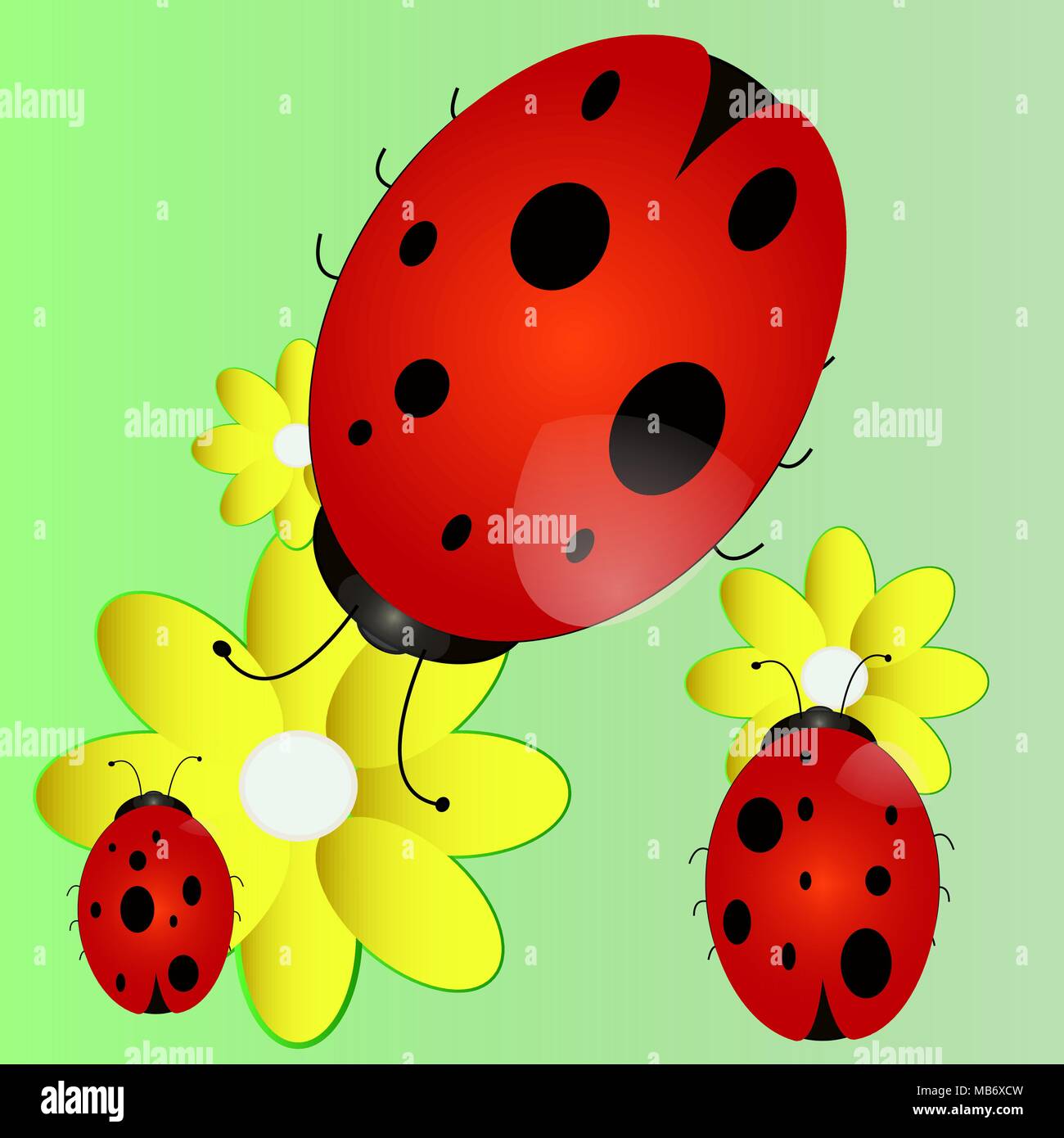 a ladybird, a cartoon character, an insect Stock Vector Image & Art - Alamy