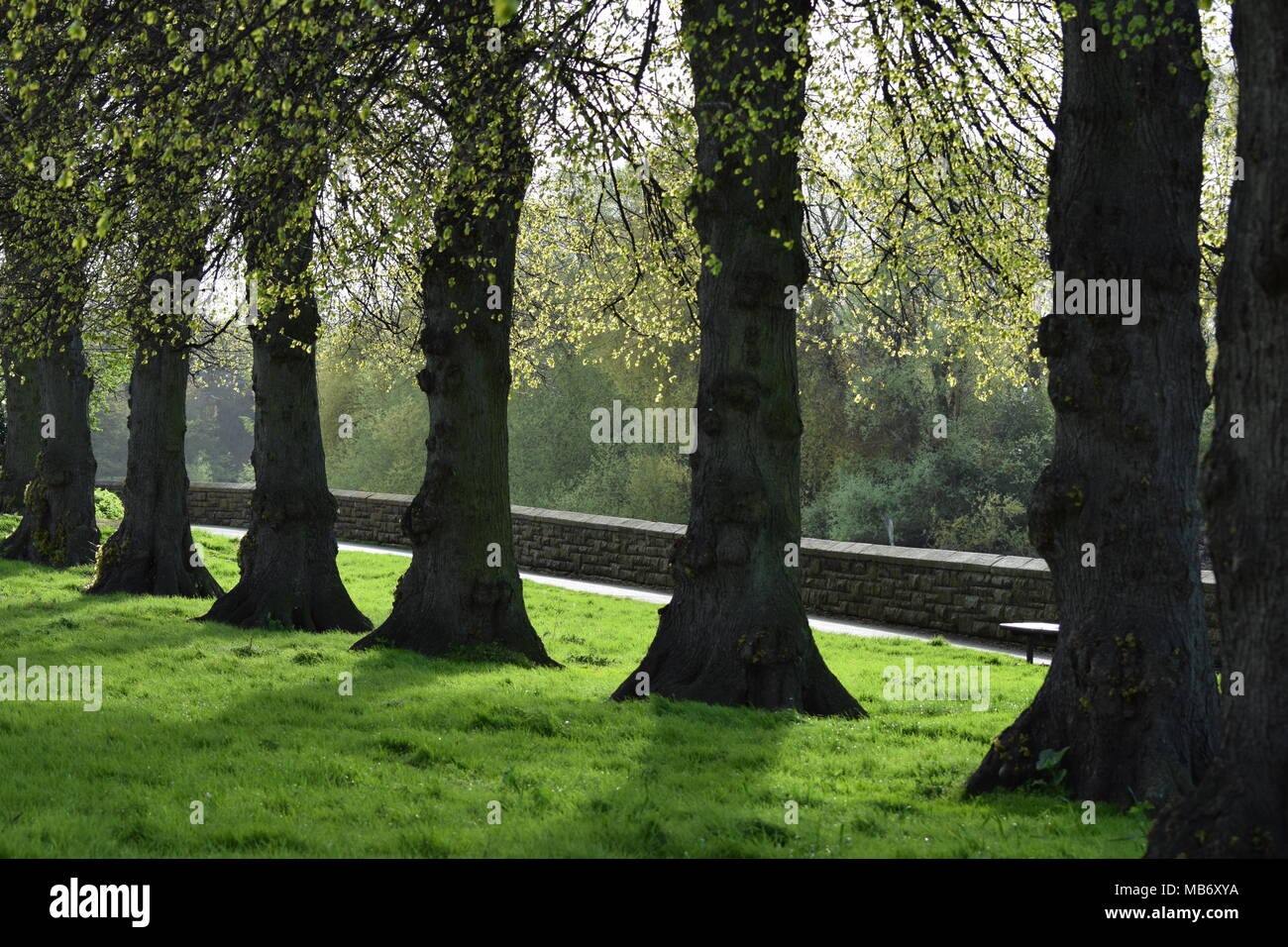 Chester field hi-res stock photography and images - Alamy