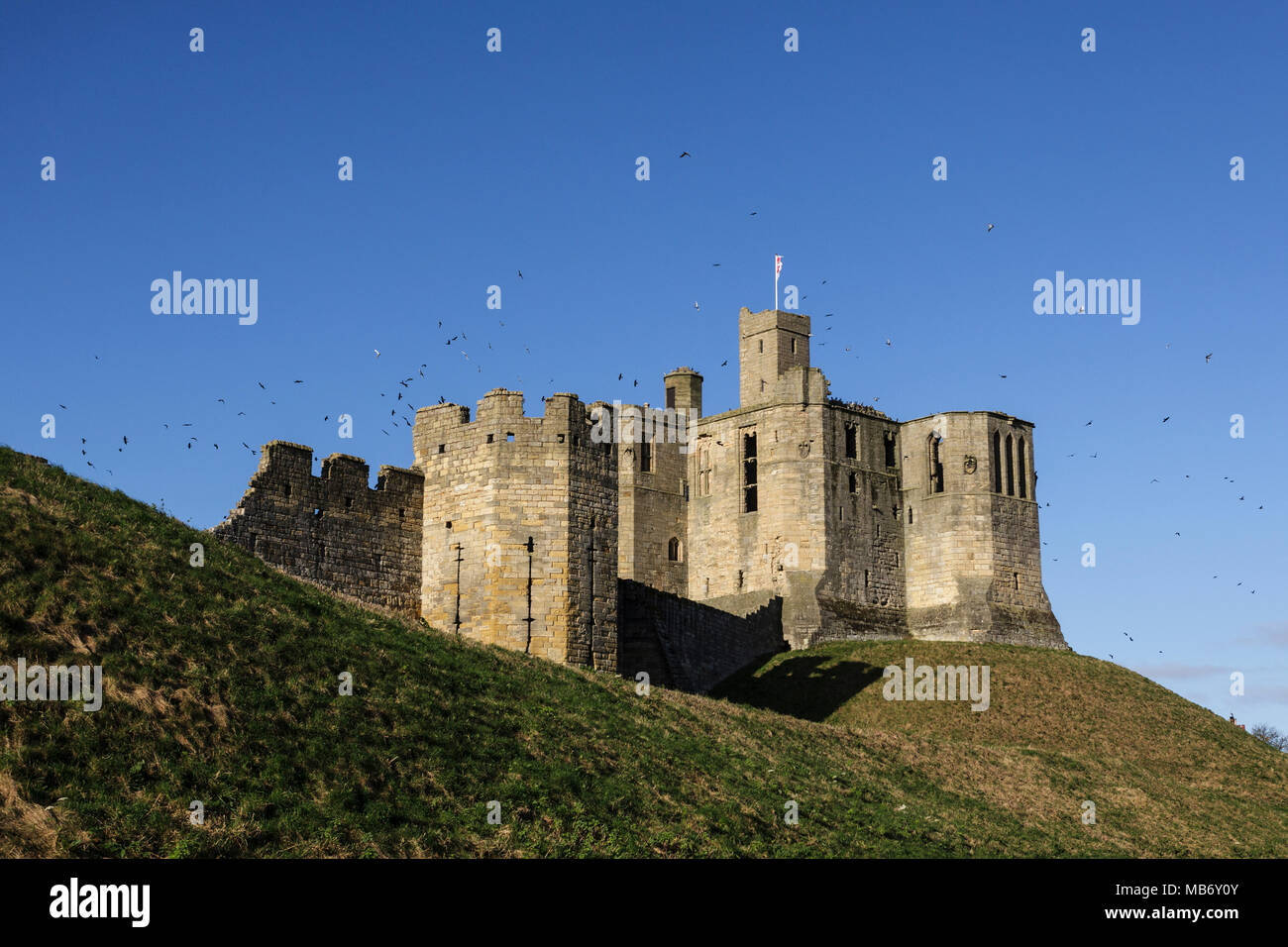 Warkworth Castle, Warkworth, Northumberland Stock Photo - Alamy