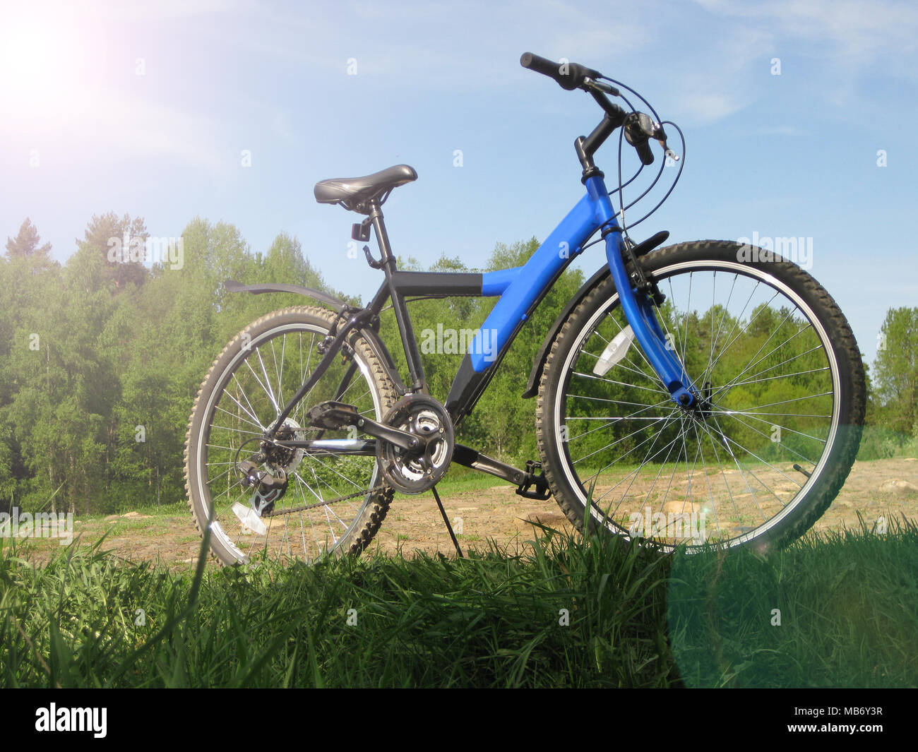 Blue bicycle close-up on a forest background Stock Photo - Alamy