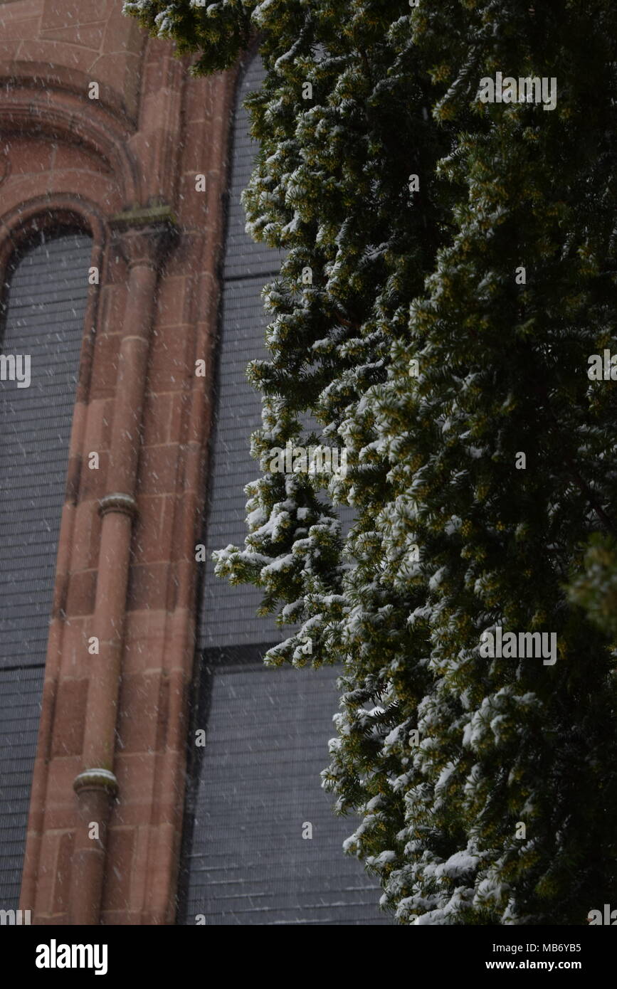 Chester's St John the Baptist's Church battling with the snow Stock ...