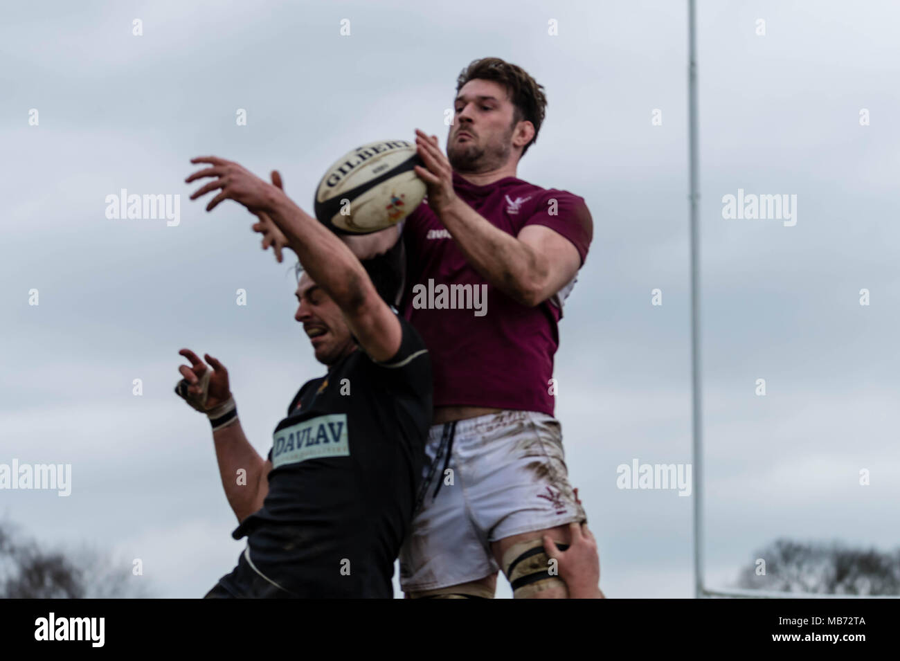 Amateur rugby hi-res stock photography and images - Alamy