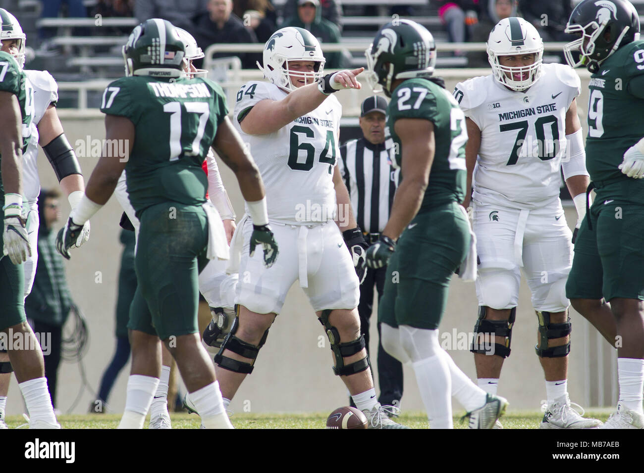 Matt allen hi-res stock photography and images - Alamy