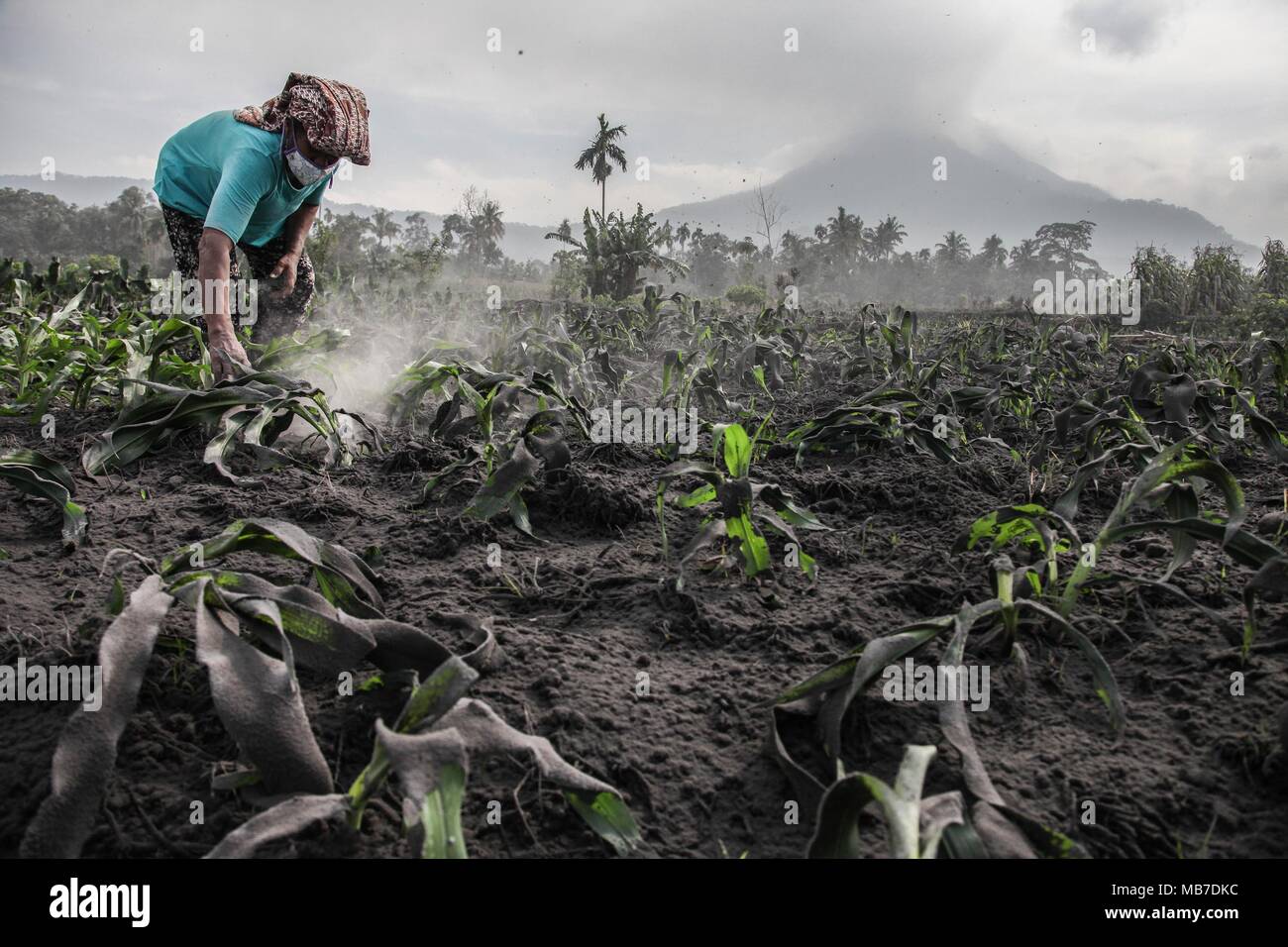 Dust covering hi-res stock photography and images - Alamy