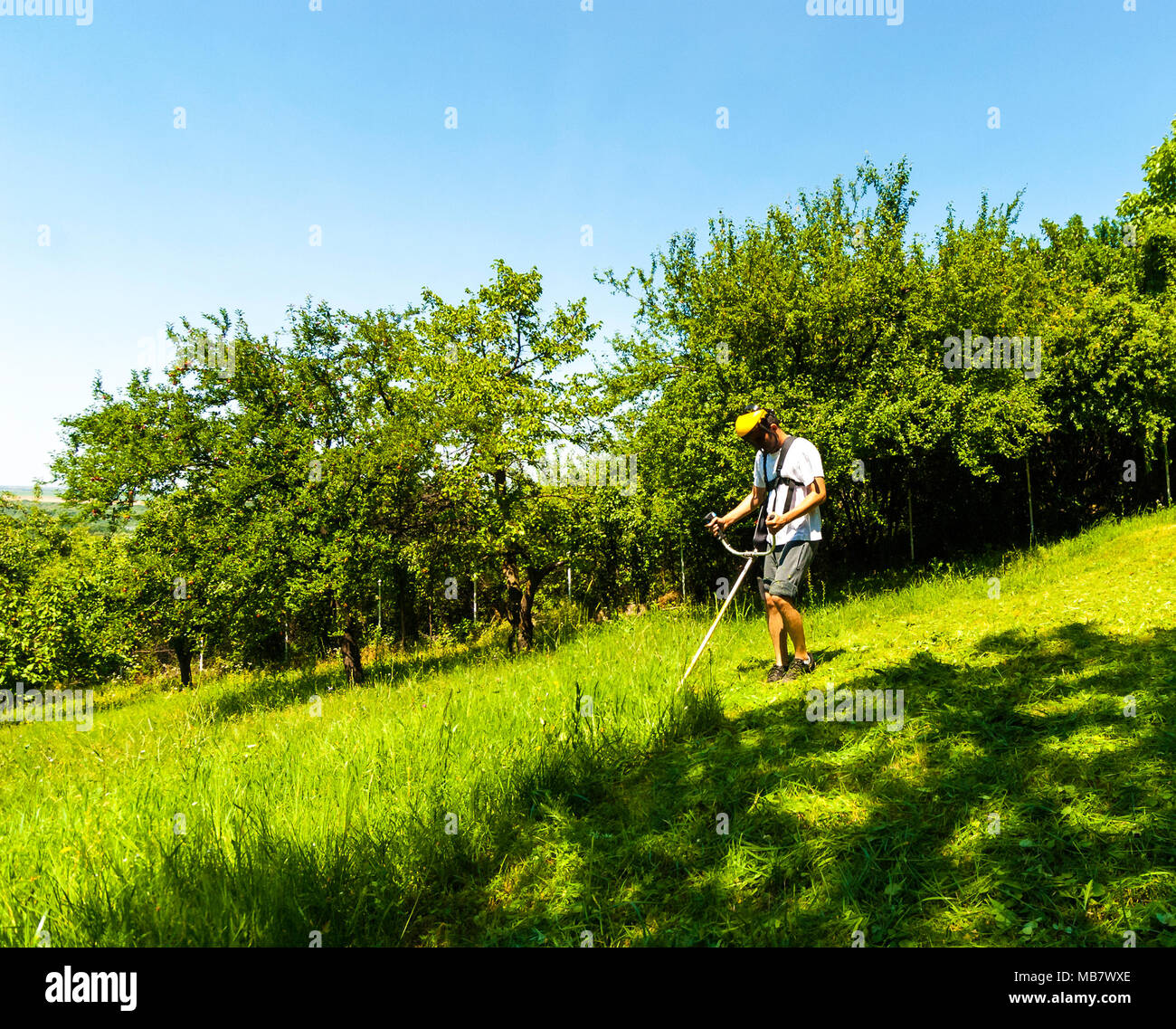 String cutter hi-res stock photography and images - Alamy