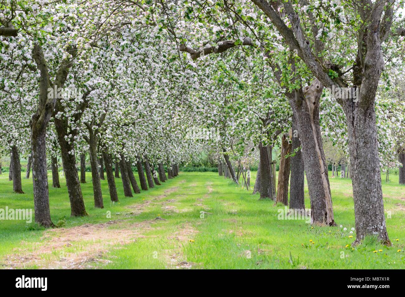 Row standard time hi-res stock photography and images - Alamy