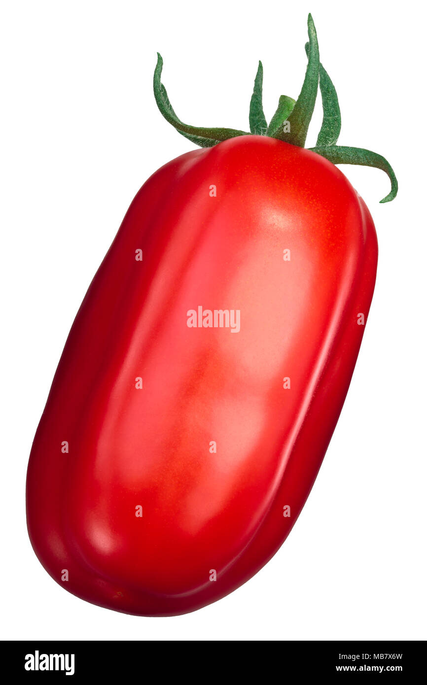 Long sepal Cut Out Stock Images & Pictures - Alamy