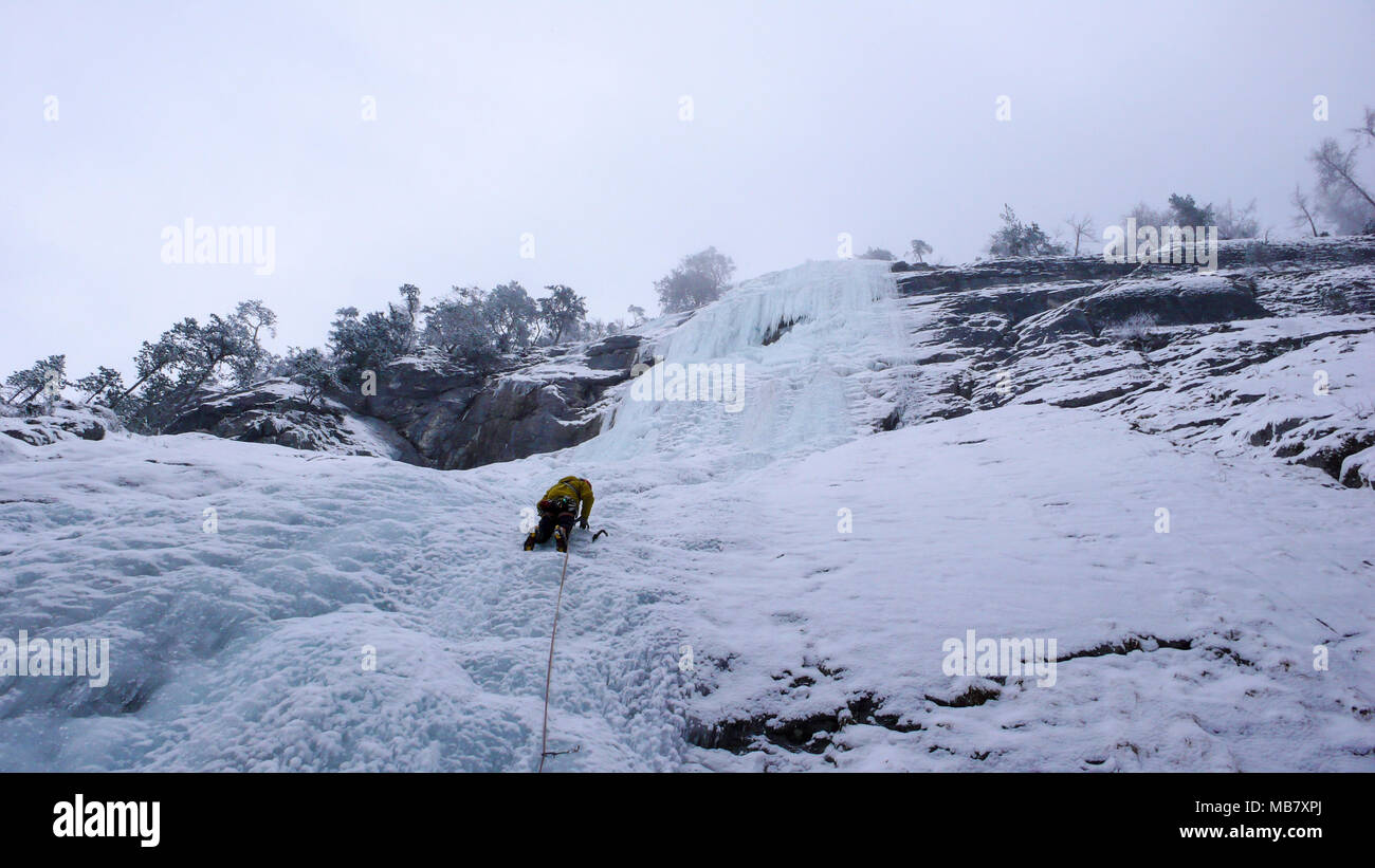 male mountain guide climbing a steep frozen waterfall on a cold winter ...