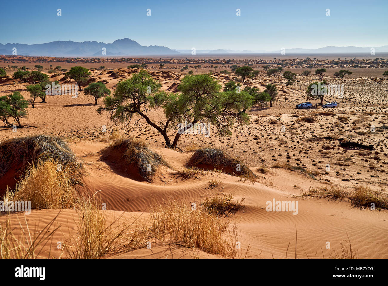 Namibrand nature reserve hi-res stock photography and images - Alamy