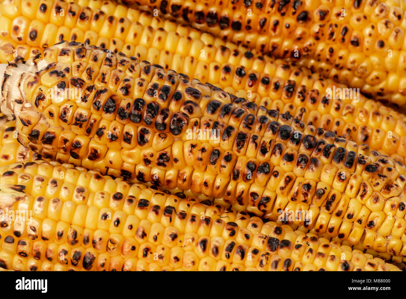Corn roasted on fire, grilled maize, Zea mays Stock Photo - Alamy
