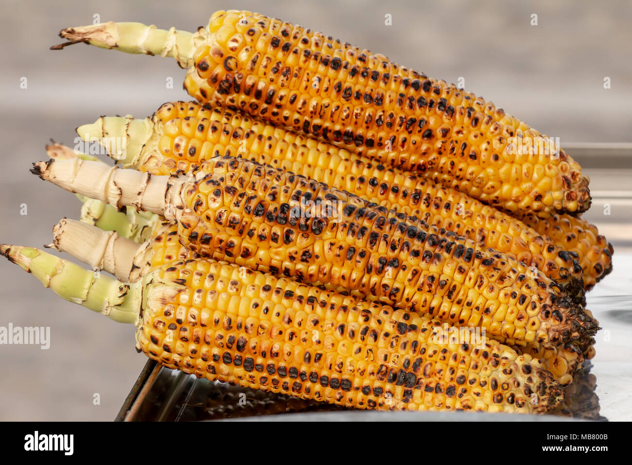 Corn roasted on fire, grilled maize, Zea mays Stock Photo - Alamy