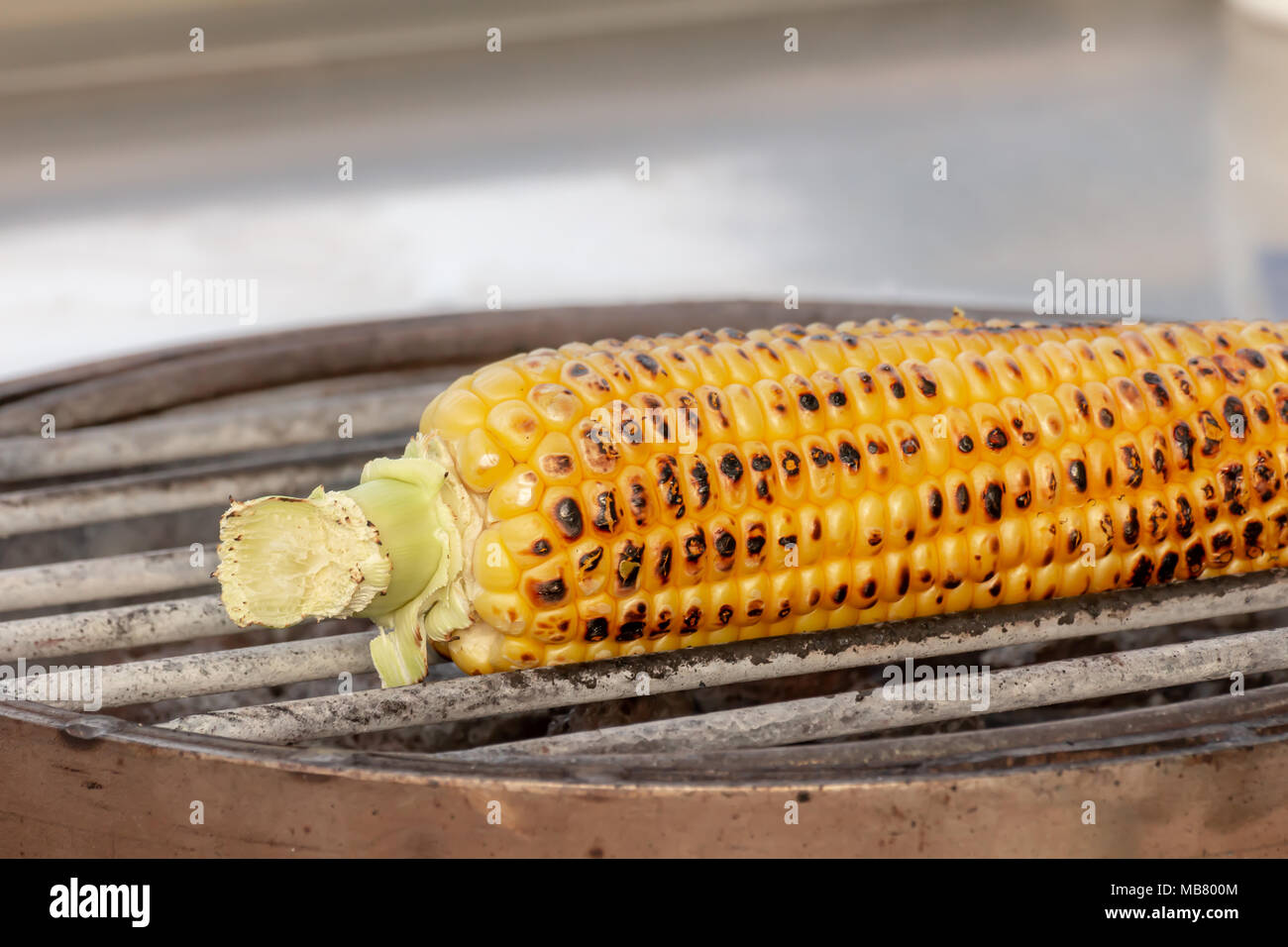 Corn roasted on fire, grilled maize, Zea mays Stock Photo - Alamy