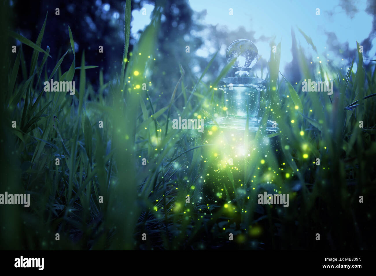 Magic fantasy forest lights fairytale hi-res stock photography and ...