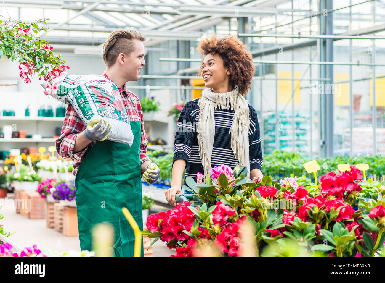 Cheerful handsome worker in a flower shop talking with a beautiful ...