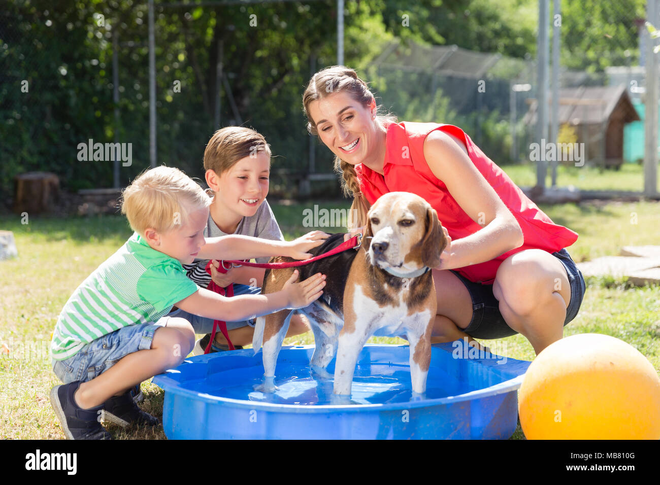 Family Washing Dog High Resolution Stock Photography and Images - Alamy