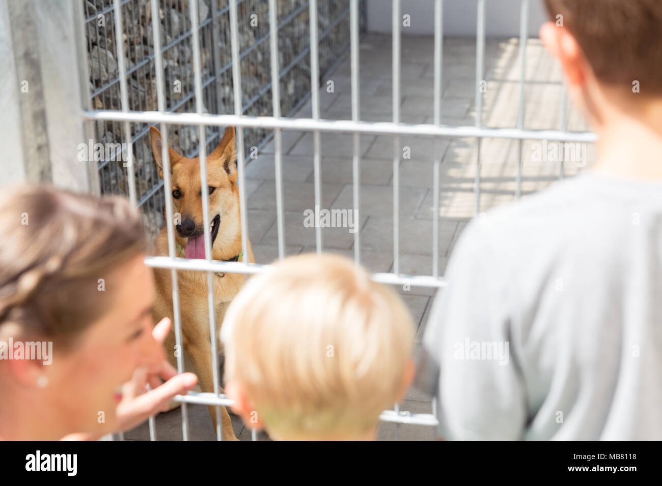 Man dog meeting woman hi-res stock photography and images - Alamy