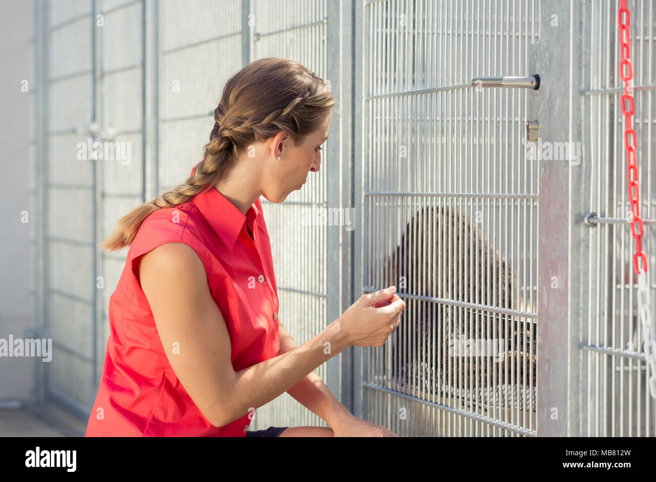 Zookeeper hi-res stock photography and images - Alamy