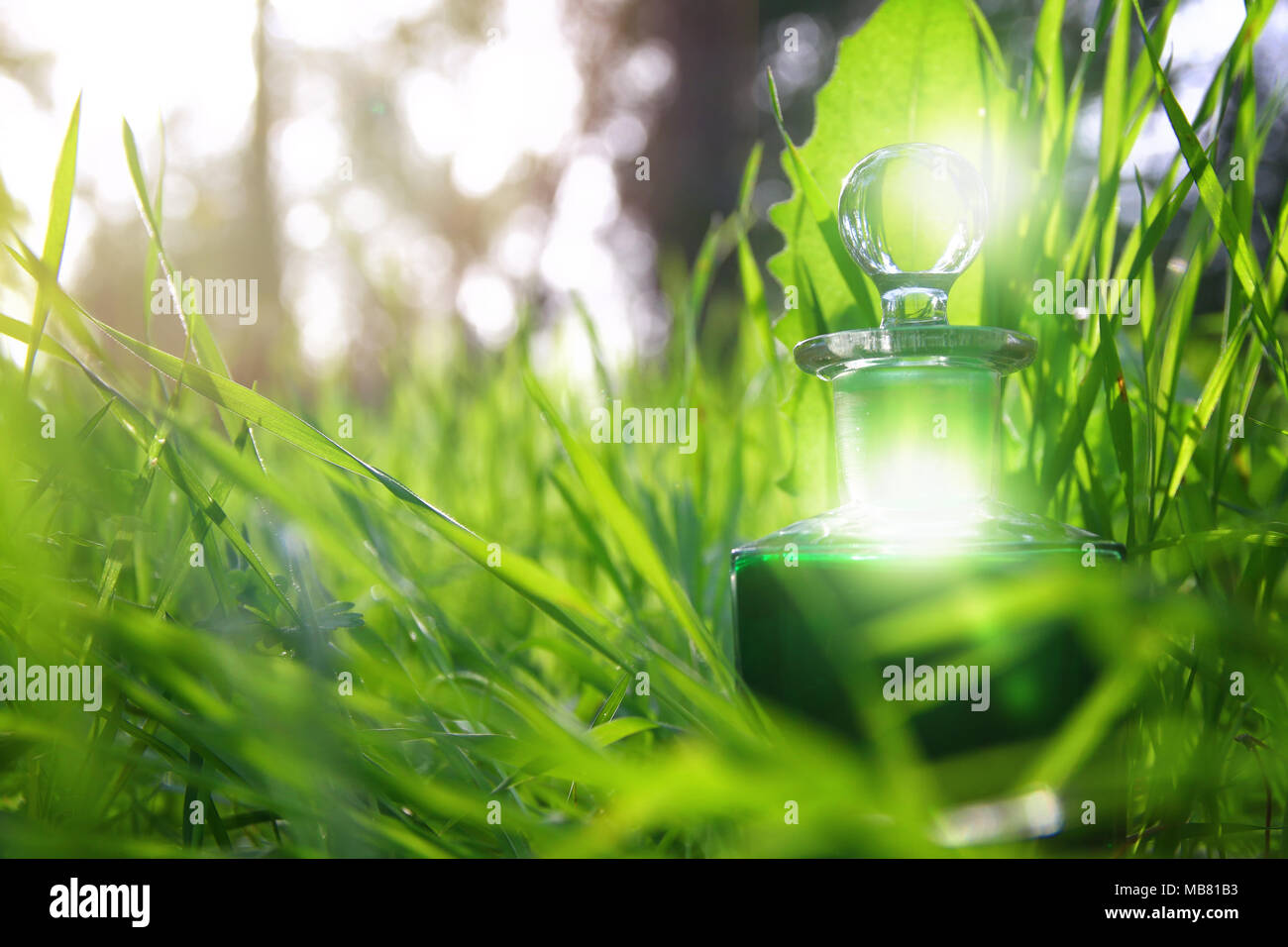 bottle with magical green potion in the forest at sunlight Stock Photo ...